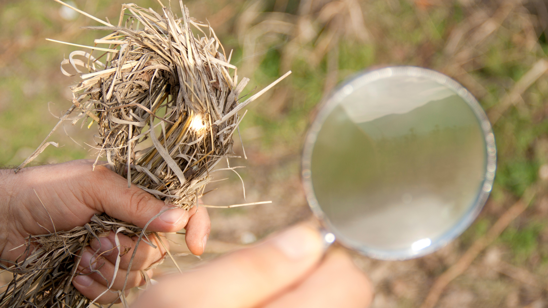 Magnifying Glass Fire-Starter Tips – PREPARED4X